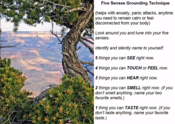 Grounding #1 – The Five Senses Grounding Technique – AstroGardens